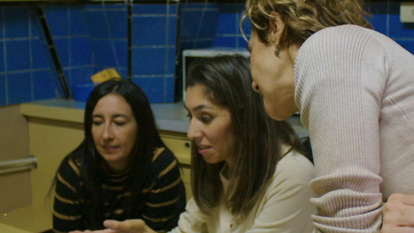 EN BUSCA DE LA REGENERACIÓN DEL TEJIDO ÓSEO - apepe